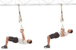 Quel exercice TRX choisir? - Blog de David Barrera coach sportif